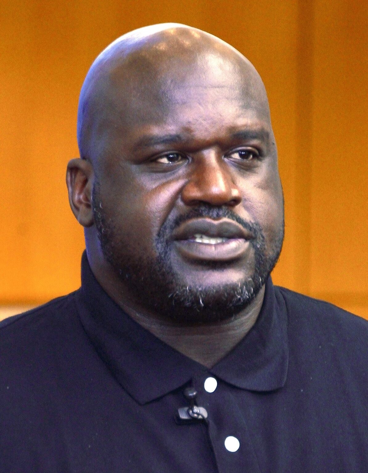 What Year Was Shaq Drafted - SPORTS FEEN